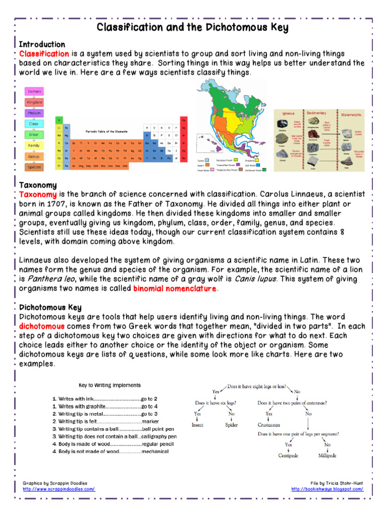 Understanding Dichotomous Keys in Classification | PDF