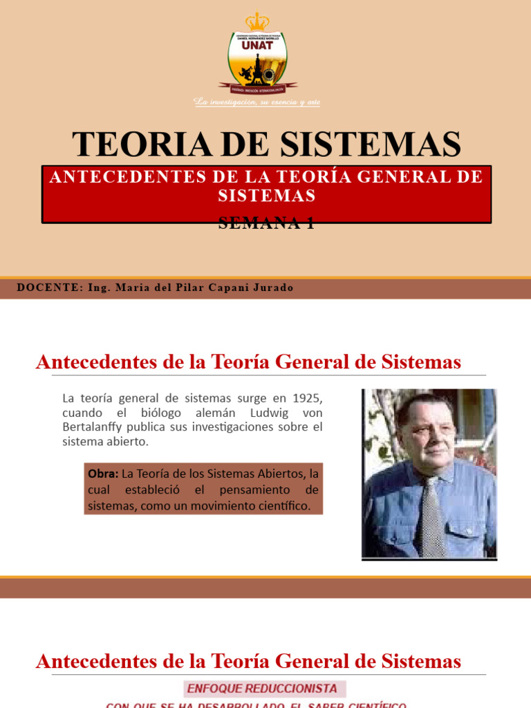 Teoría de Sistemas | PDF