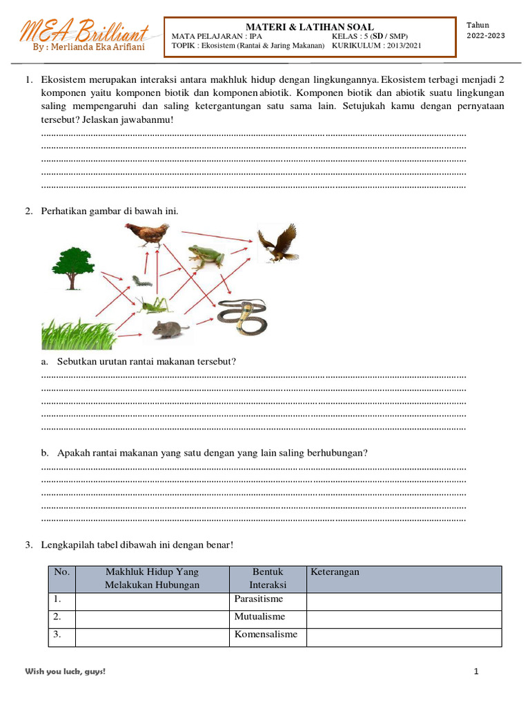 5 SD - IPA - Latihan Soal Ekosistem (Rantai & Jaring Makanan) | PDF