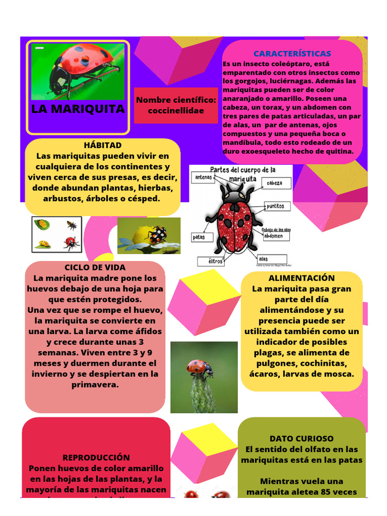 Monografía de La Mariquita | PDF