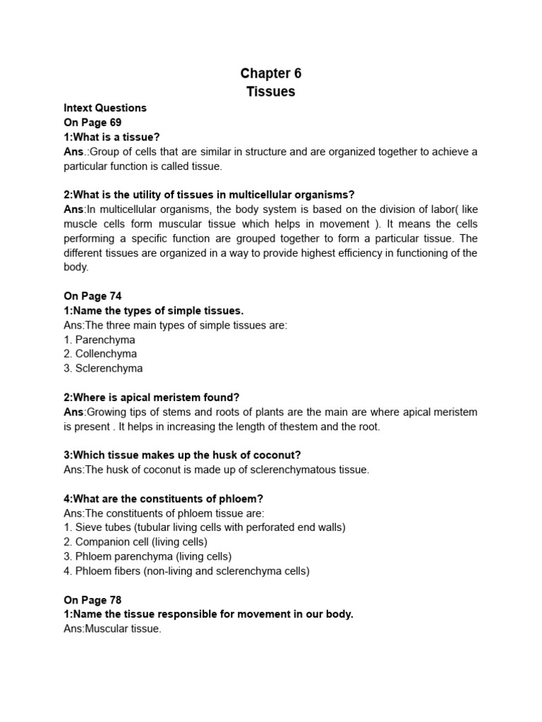 Chapter 6 Tissue | PDF
