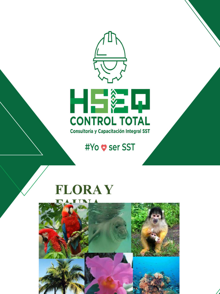 Cap. Flora y Fauna | PDF | Fauna | Los bosques