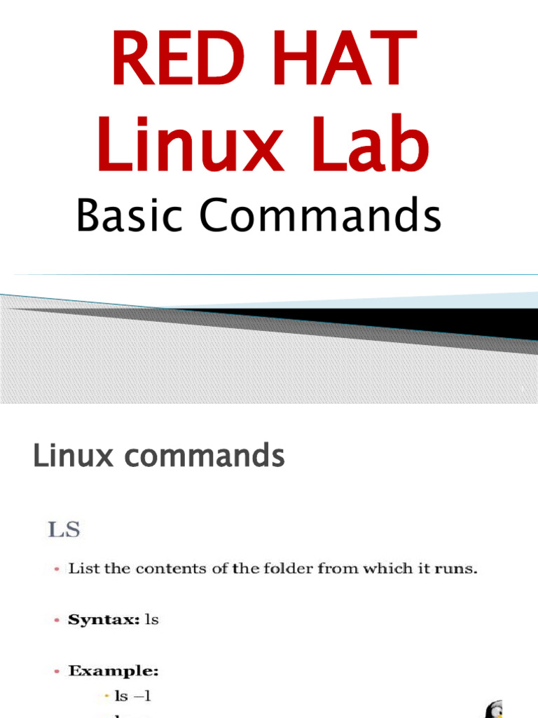 1 Basic Commands | PDF
