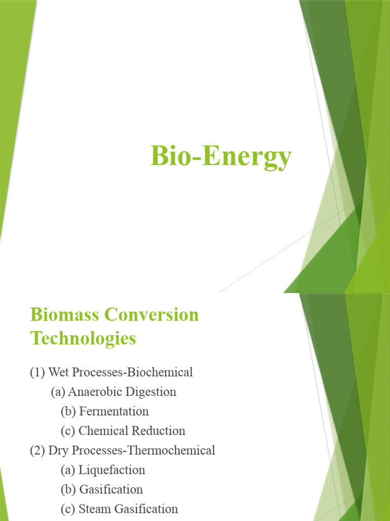 Biomass | PDF