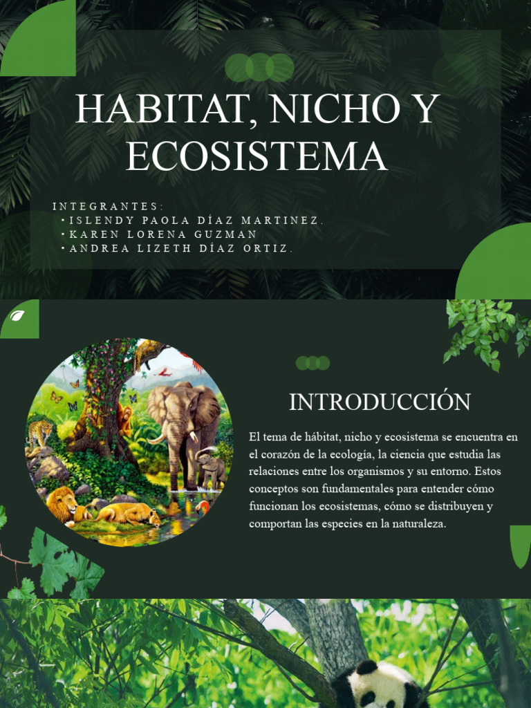 Hábitat y Nicho en Ecosistemas Terrestres | PDF