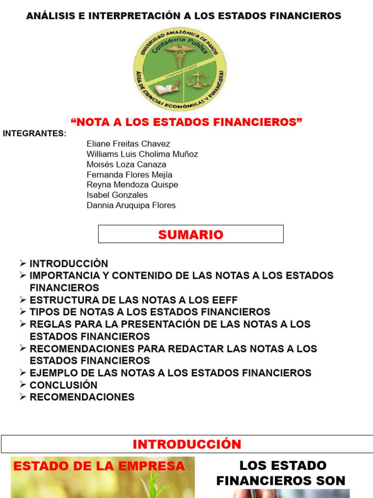 Notas A Los Eeff | PDF | Estado financiero | Contabilidad