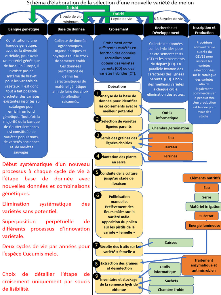 Schema Elaboration Production | PDF