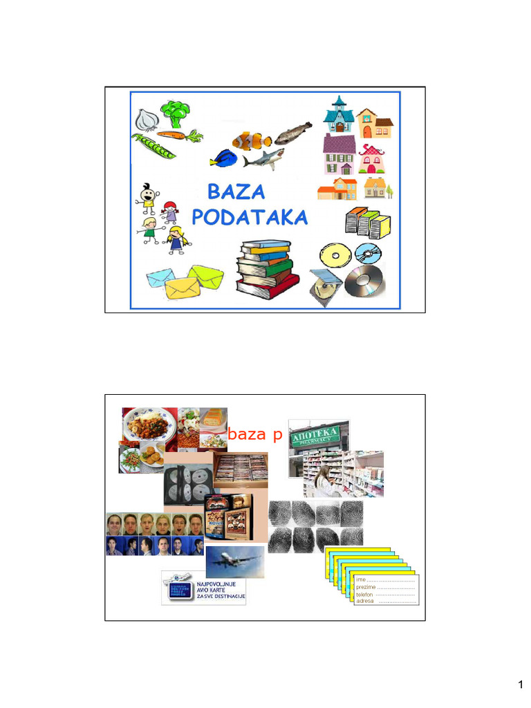 Šta Je Baza Podataka? | PDF