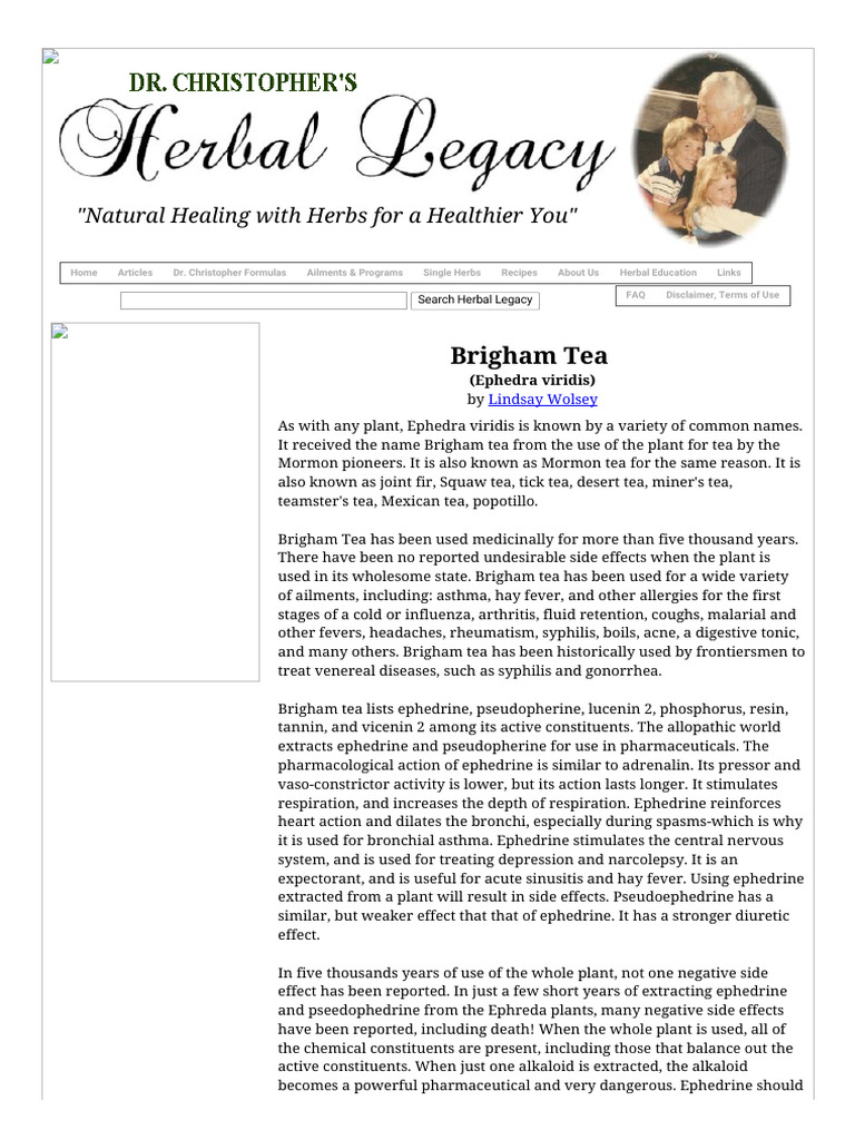 Brigham Tea | PDF