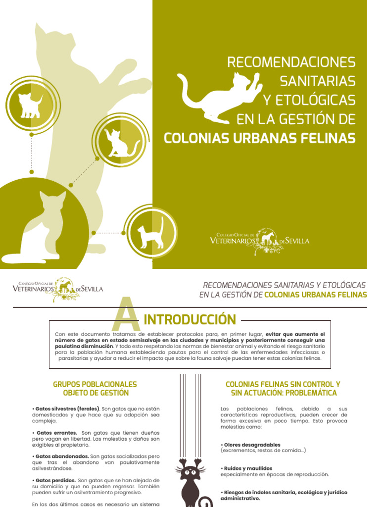 Protocolo Gestion Colonias Felinas Colvet Sevilla | PDF