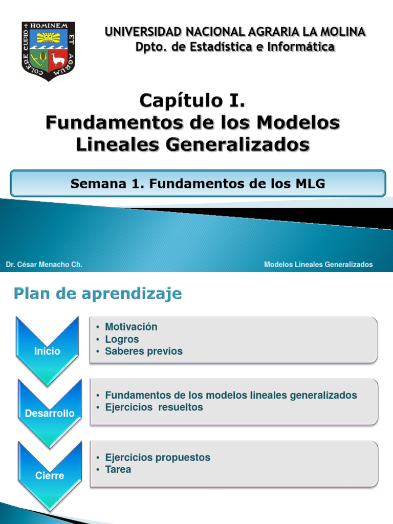 MLG - Semana - 01 - Fundamentos de Los MLG | PDF