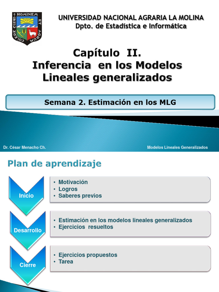 MLG - Semana - 02 - Estimacion en Los MLG | PDF