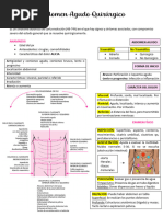 Signos de Exploración Abdominal | PDF | Abdomen | Medicina CLINICA