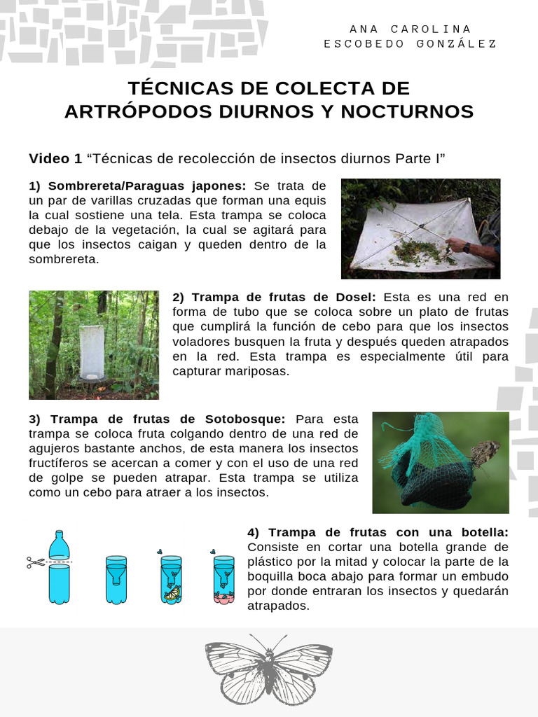 Técnicas de Colecta Insectos | PDF