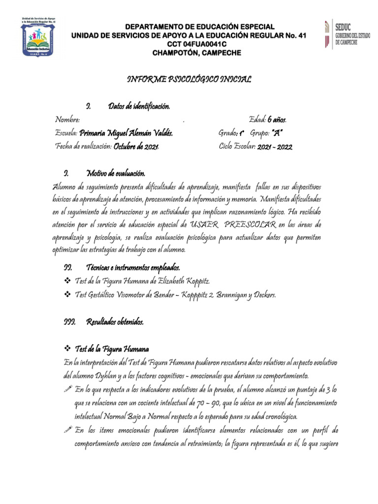 Ejemplo 2 Informe Inicial | PDF