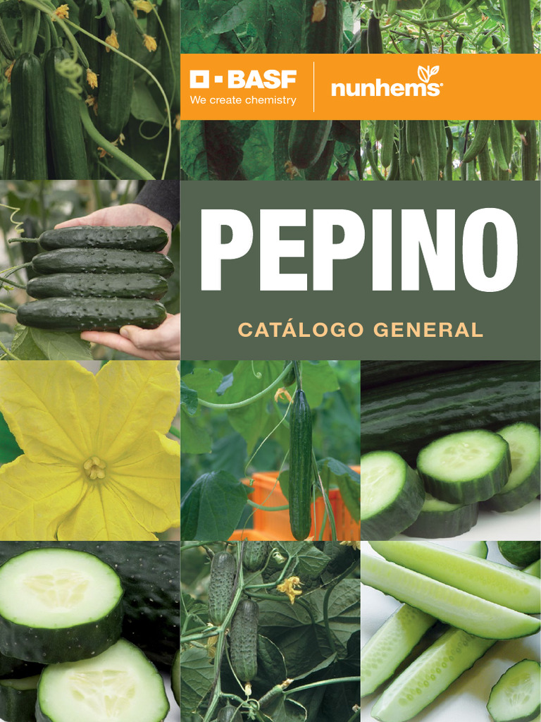 Catálogo Pepino Nunhems 2023 | PDF