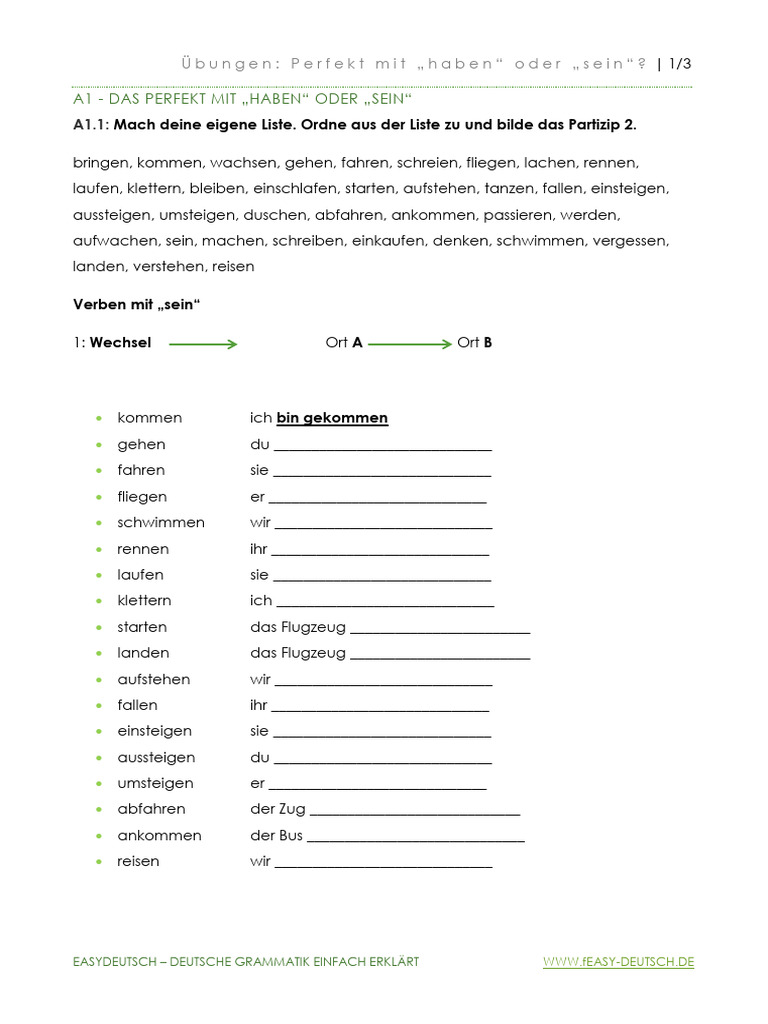 Perfekt Mit Sein Oder Haben | PDF