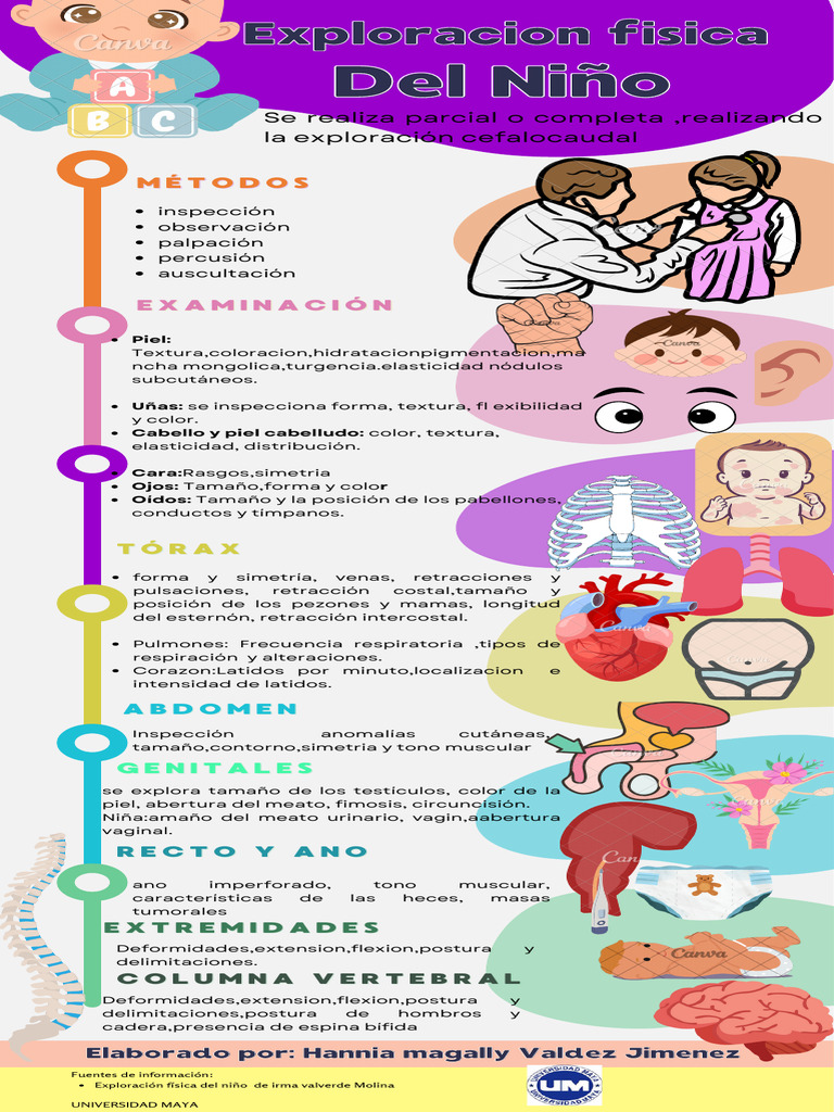 Exploracion Fisica Del Niño | PDF