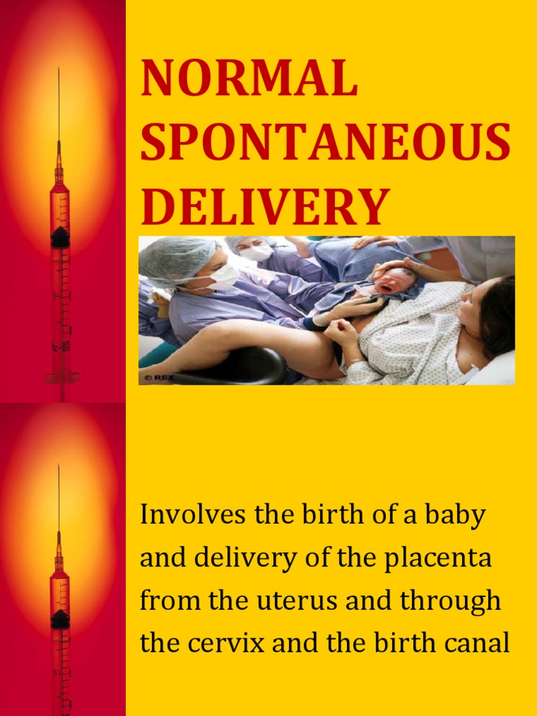 Normal Spontaneous Delivery | PDF | Labia | Vagina