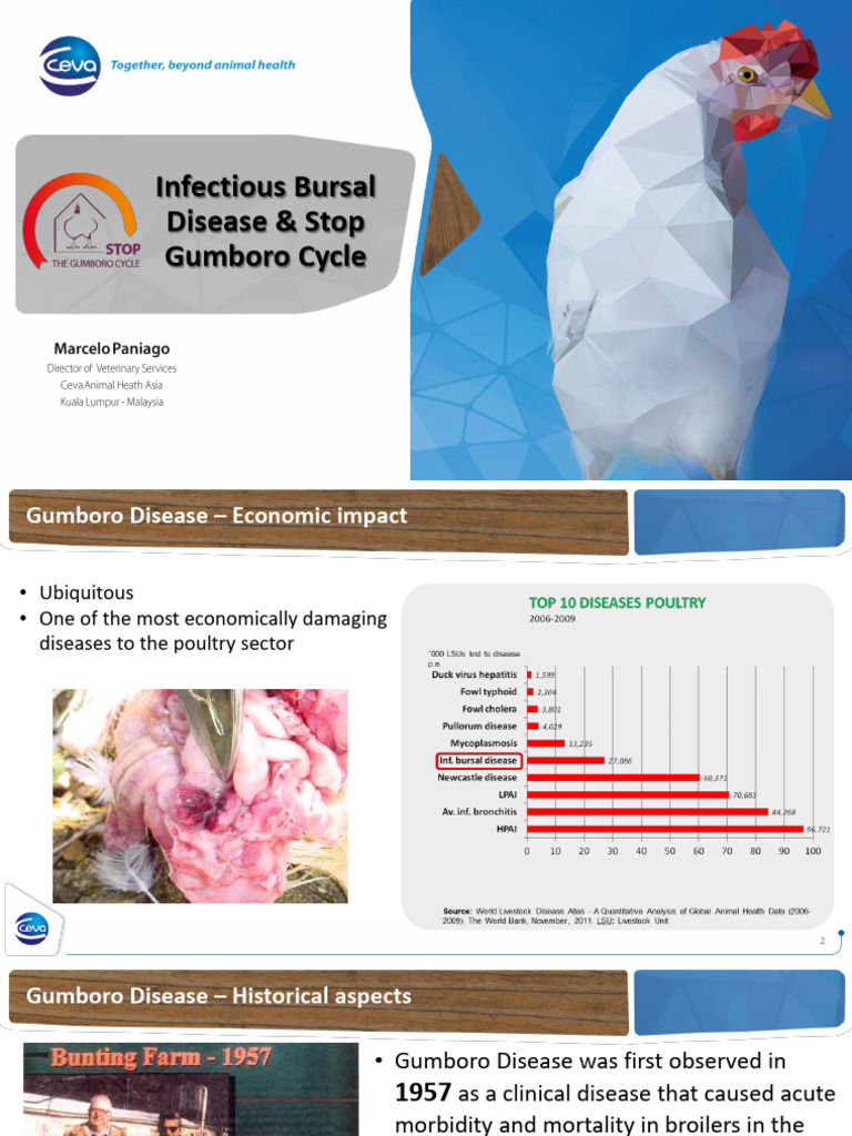 07 Infectious Bursal Disease & Stop Gumboro Cycle - Marcelo Paniago ...