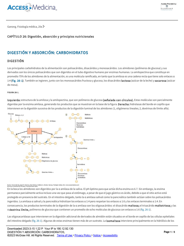 Digestión y Absorción - Carbohidratos | PDF