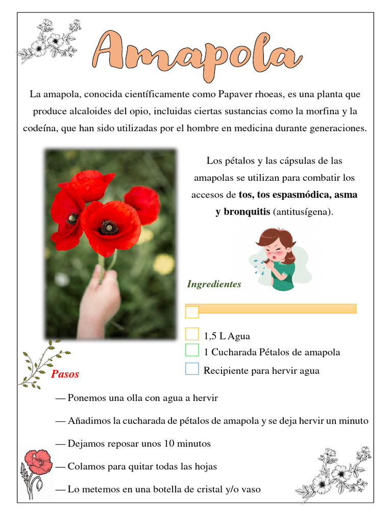 AMAPOLA | PDF