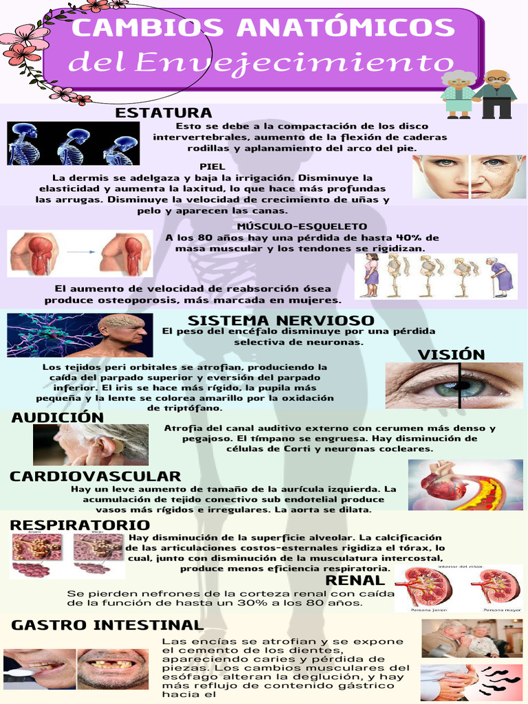 Infografia Envejecimiento Pdf Pdf