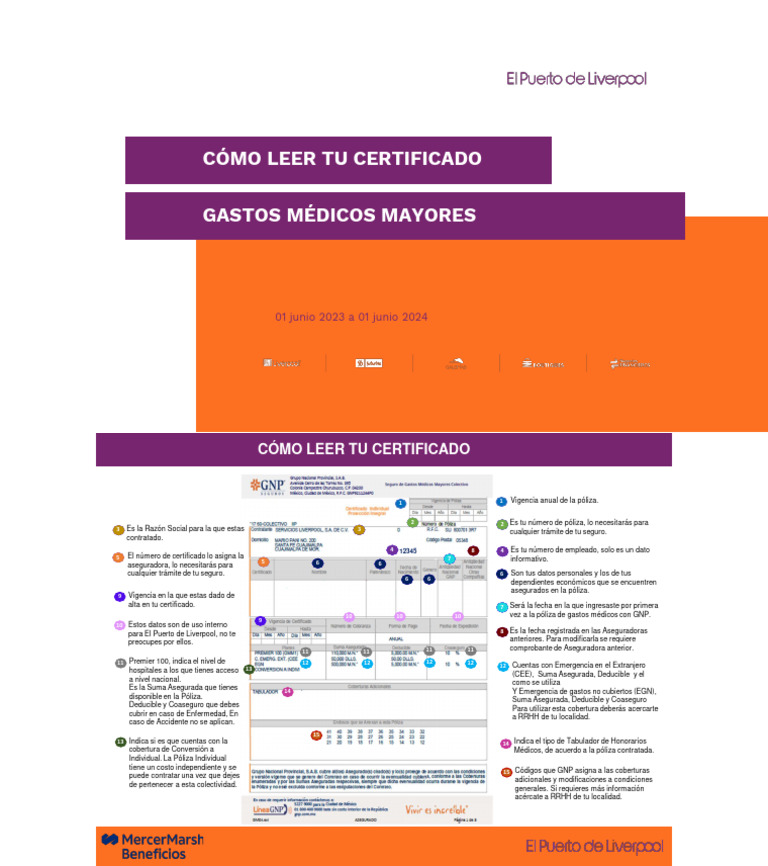Como Leer Tu Certificado GMM | PDF