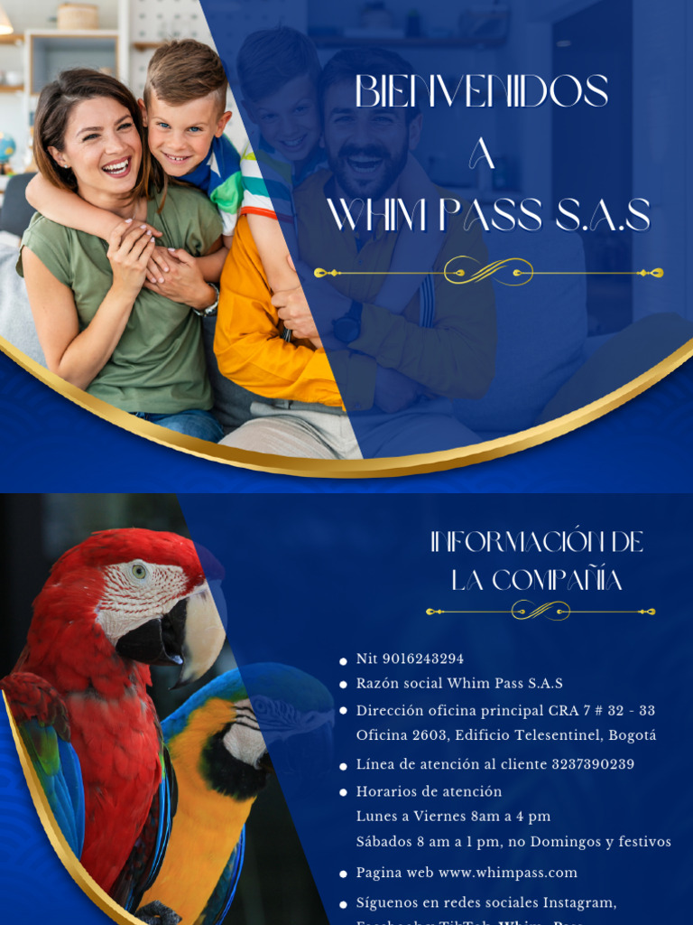 Producto Final Whim Pass | PDF