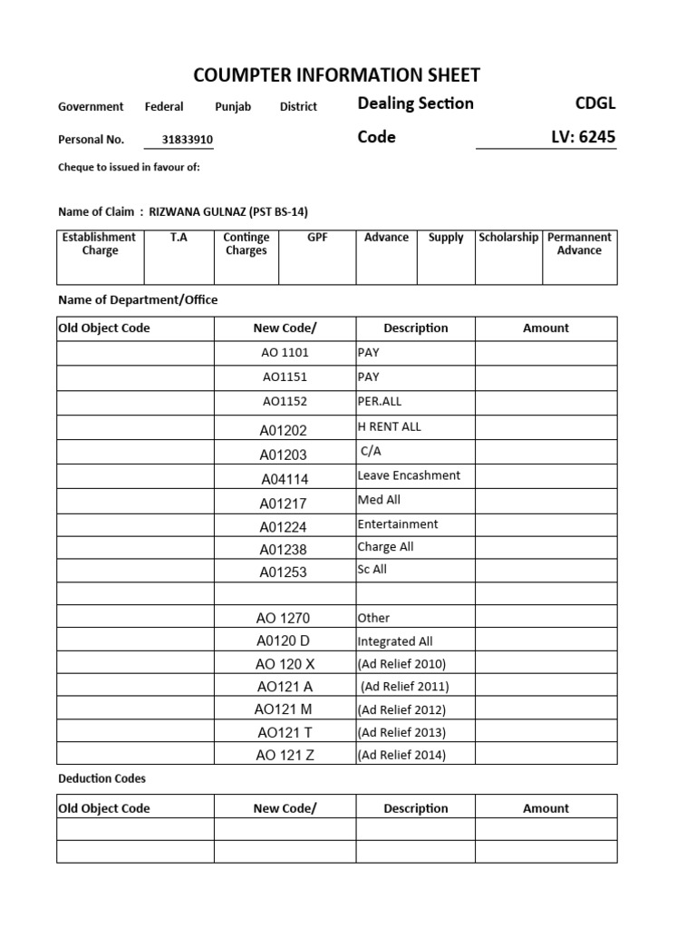 Computer Information Sheet | PDF