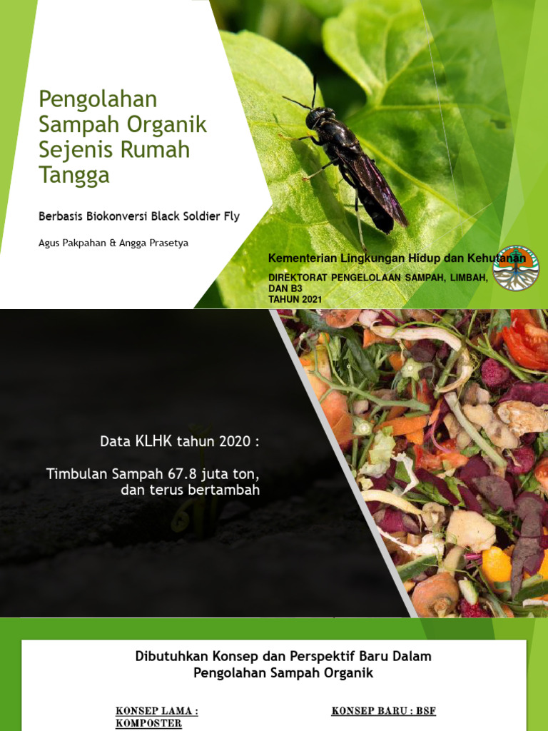 Agus P Presentasi Maggot KLHK 2021 Agus Pakpahan | PDF | Kesehatan Holistik | Teknologi & Rekayasa