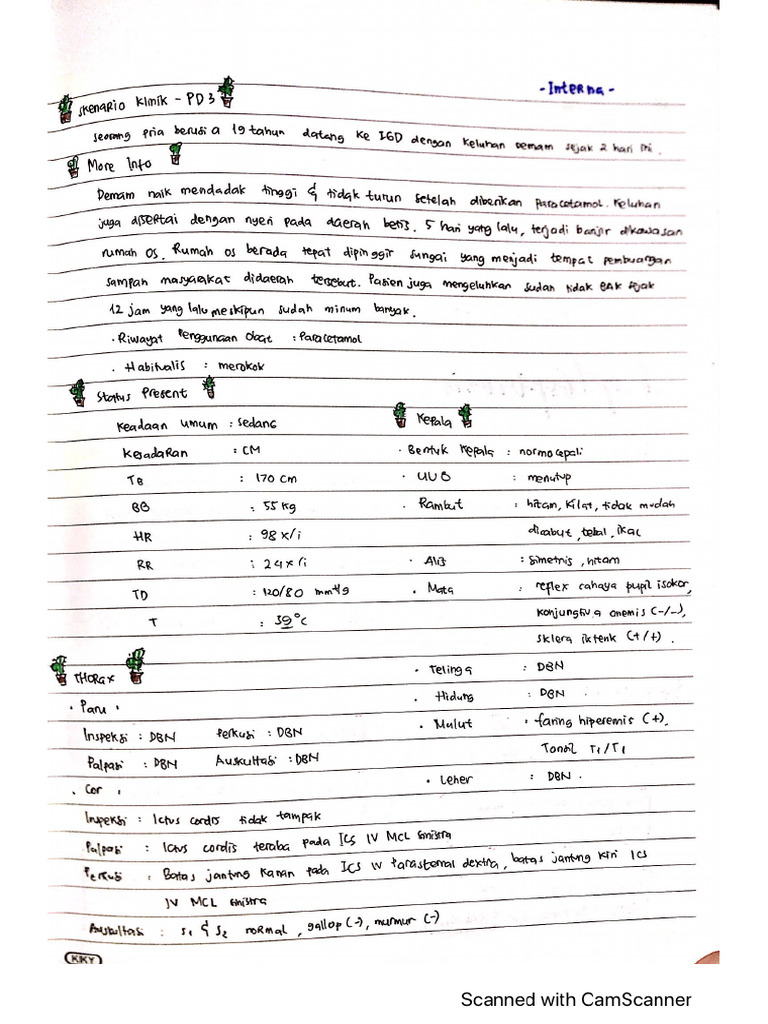 Naomi g-sk3 Interna | PDF