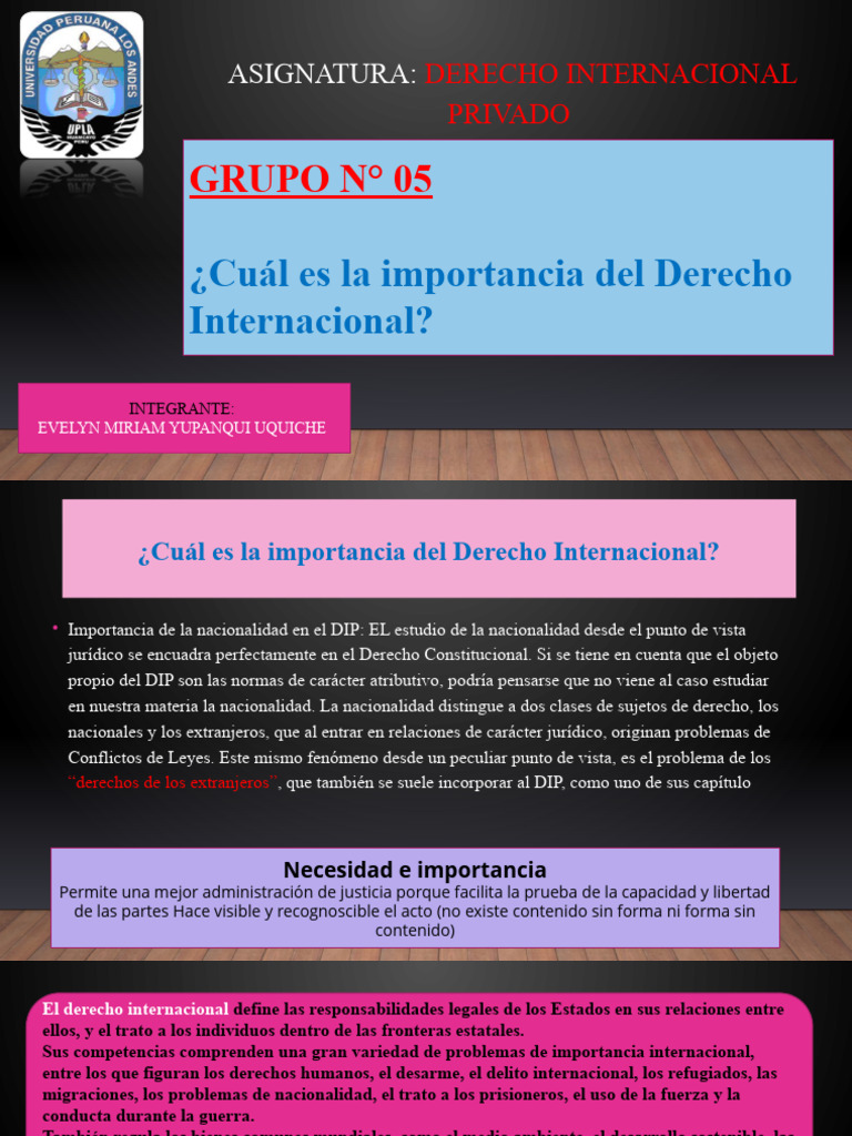 CUAL ES LA IMPORTANCIA DEL DIP..evelyn | PDF