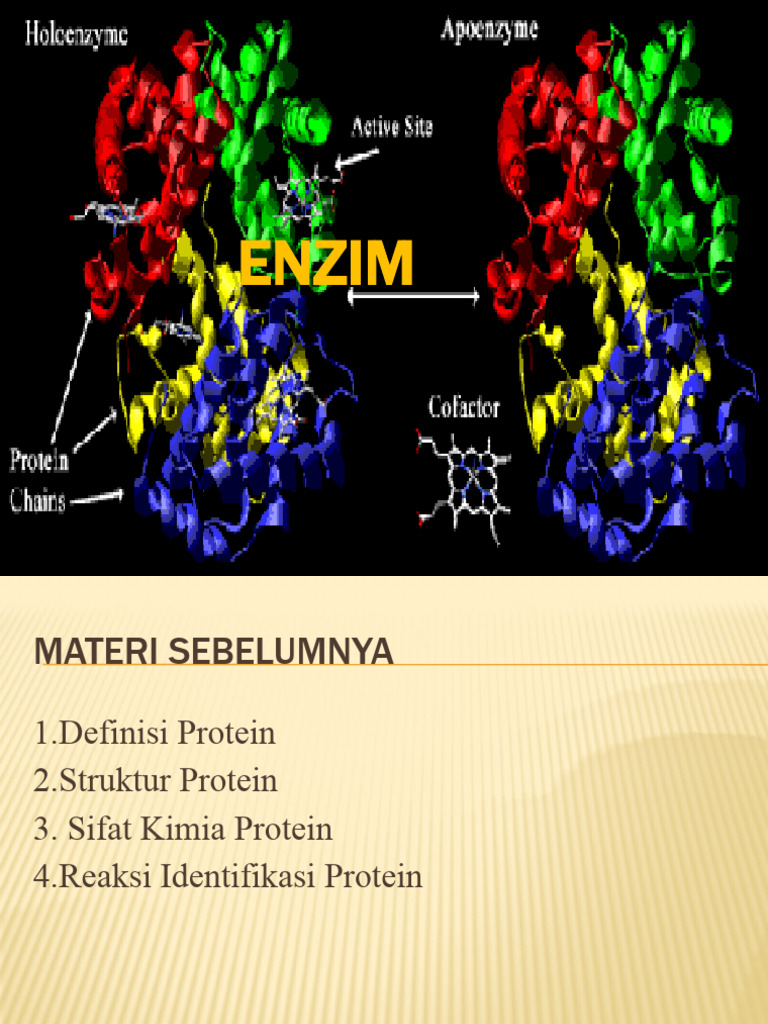 Enzim | PDF