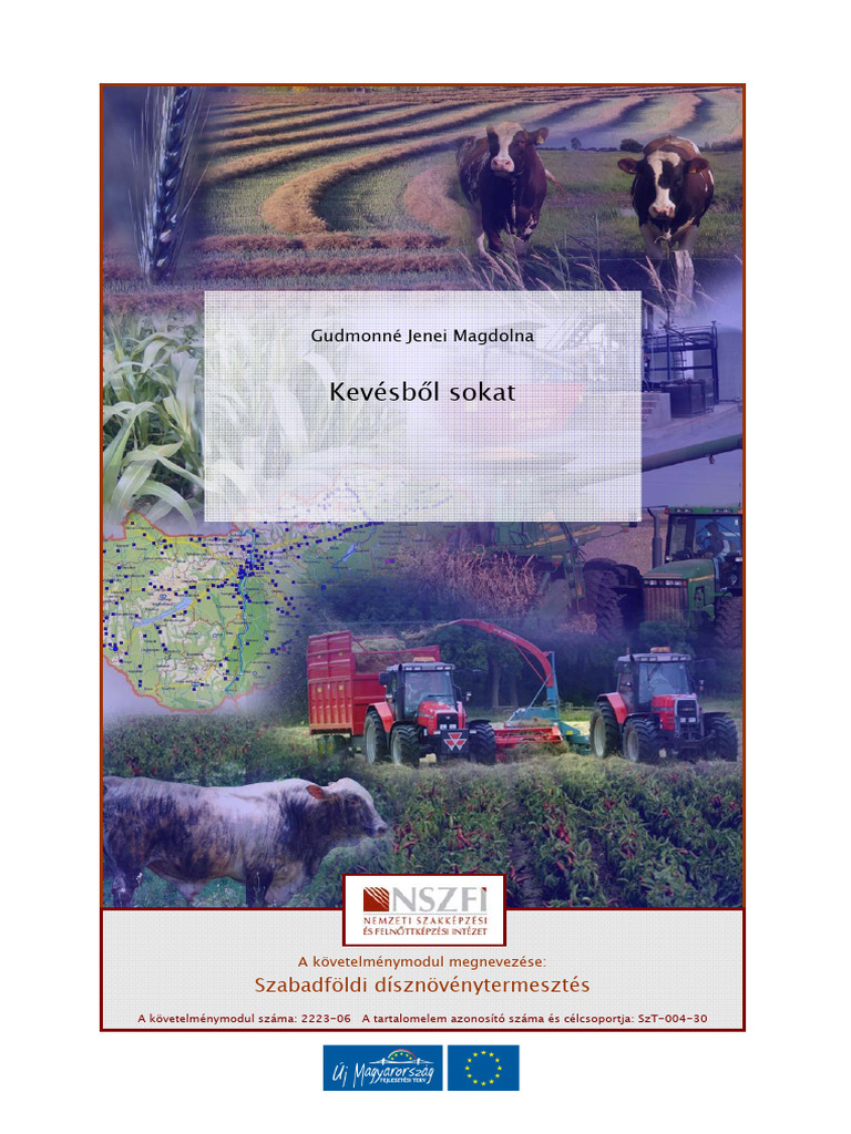 Kevésből Sokat | PDF