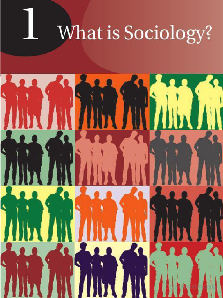 Sociology (5th Edition) | PDF