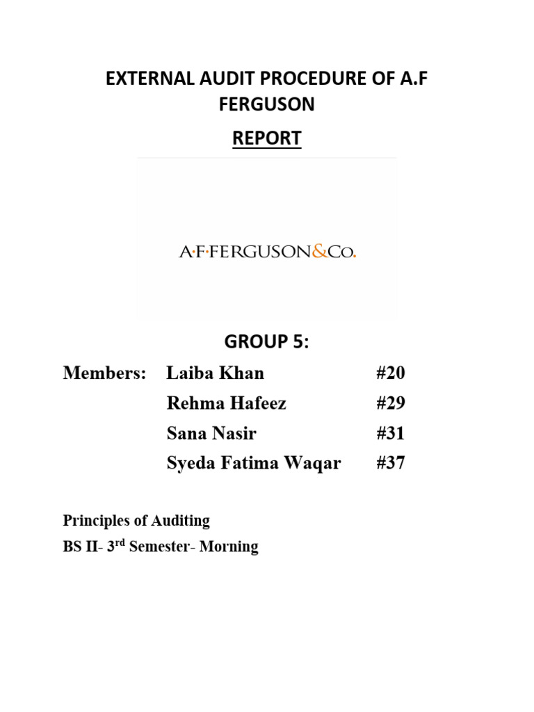 External Audit Report | PDF