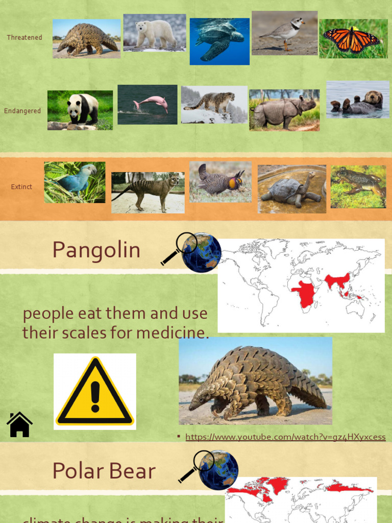 Endangered Species and Their Threats | PDF | Home & Garden
