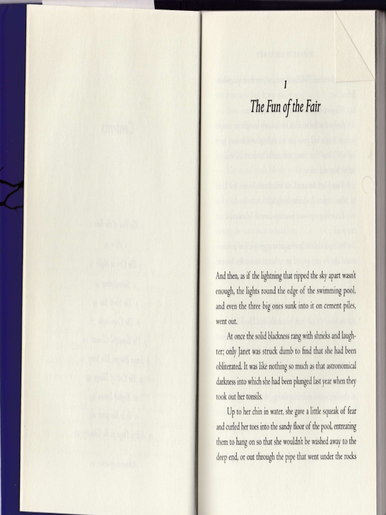 The Fun of The Fair - Harrower | PDF