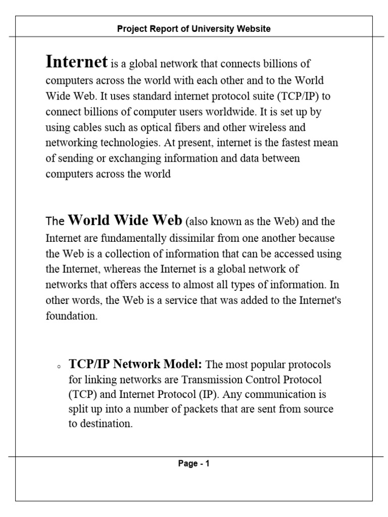 Internet: World Wide Web | PDF