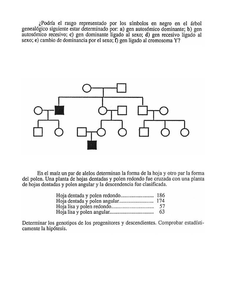 Problemas Genética Mendeliana | PDF