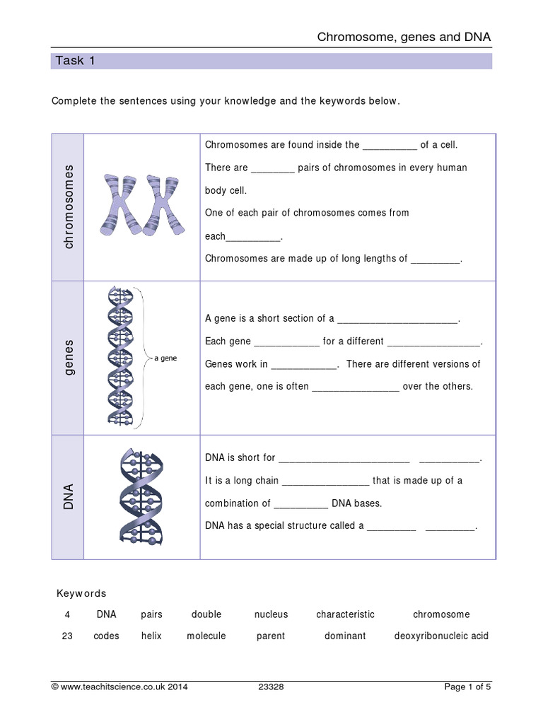 Science Genes Activity | PDF
