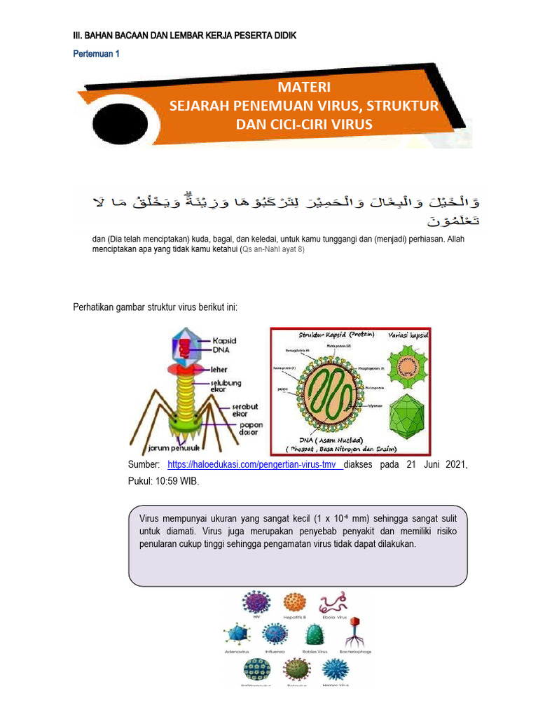 Modul Virus 1 | PDF