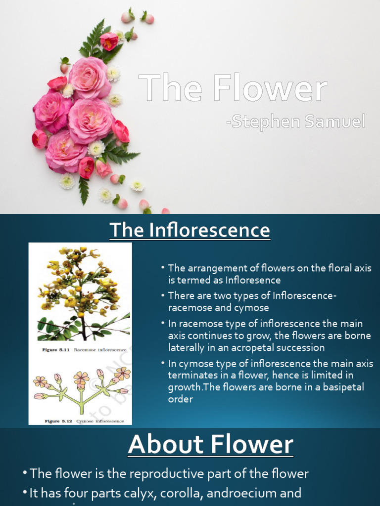 On Flower Class 11 | PDF