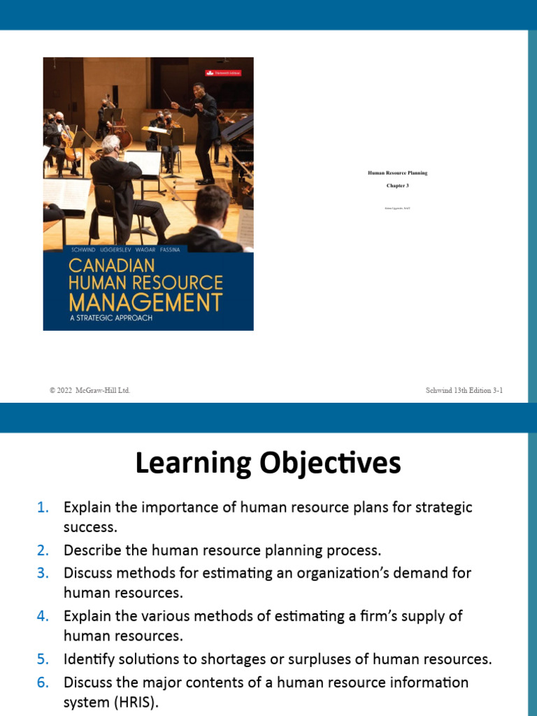 Chapter 3 - Human Resource Planning | PDF