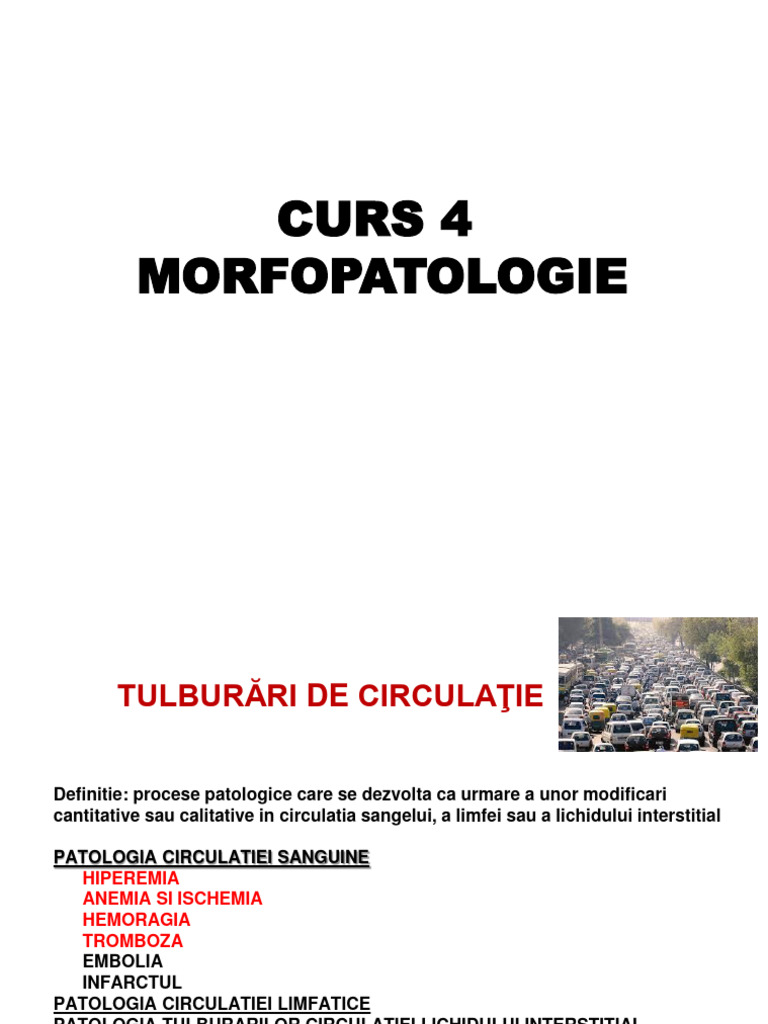 Curs 4 Mgiii | PDF