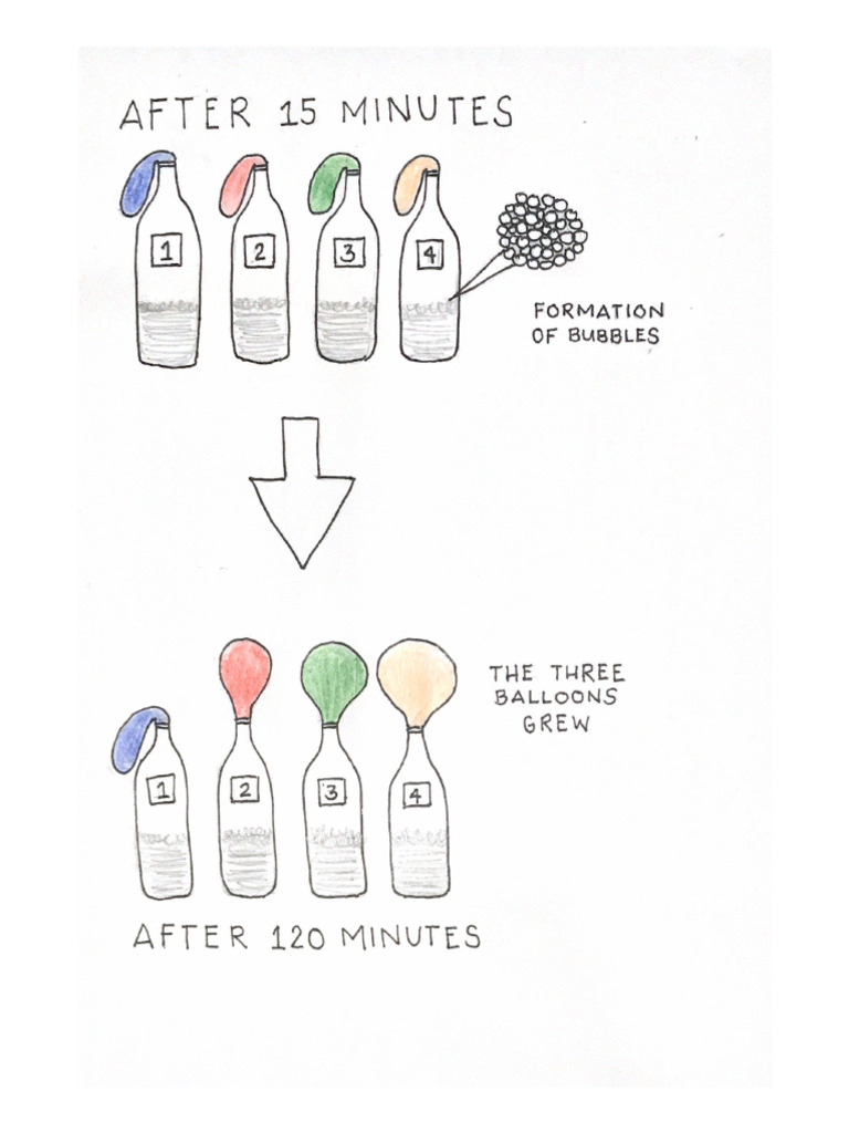 Drawing Biochemistry | PDF