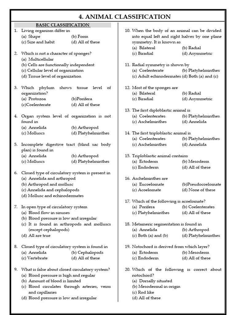 Chapter - 4 Animal Classification | PDF