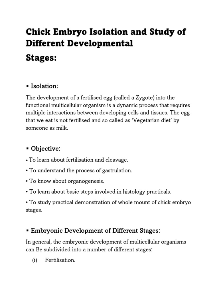 Chick Embryo Isolation and Study of Different Stages | PDF