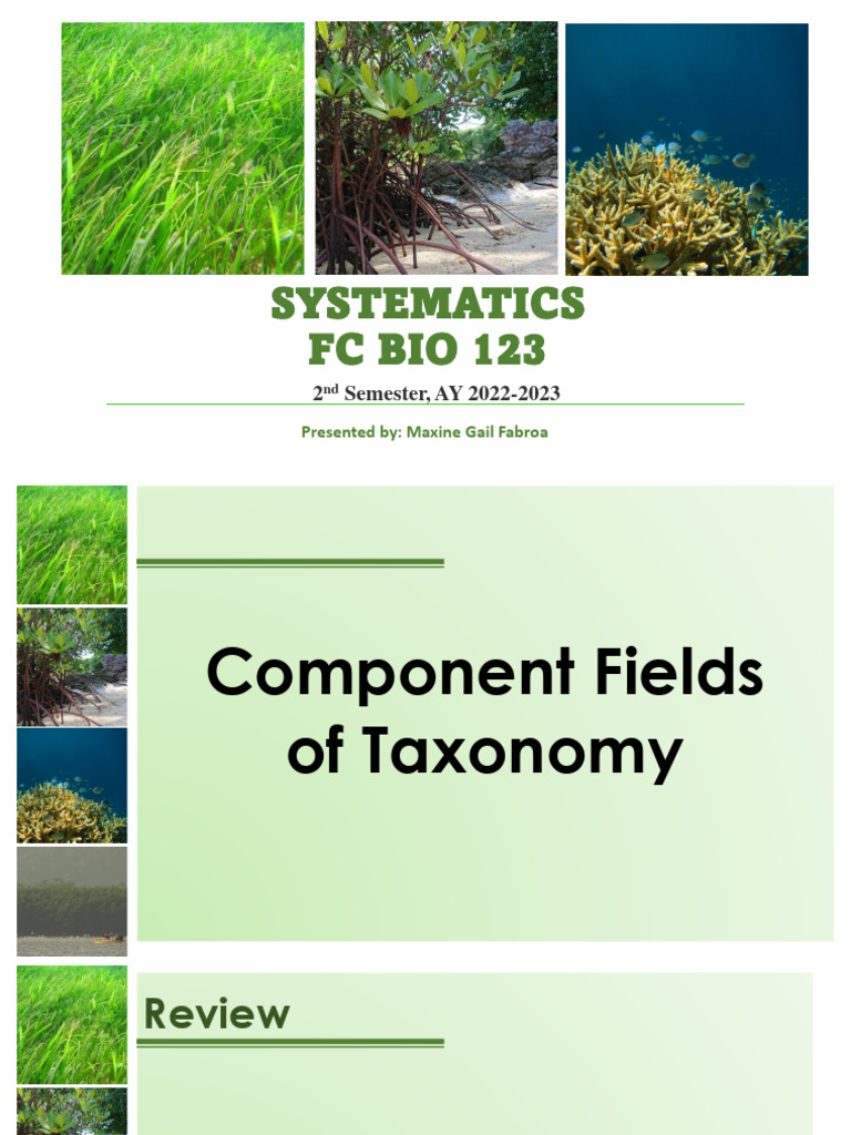 Component Fields of Taxonomy | PDF
